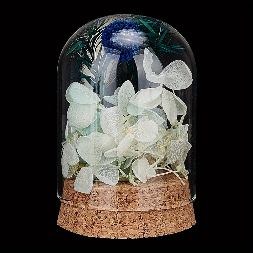 Glass Display Jar Dome Cloche Glass Bell Jar Cork Base Glass - Temu