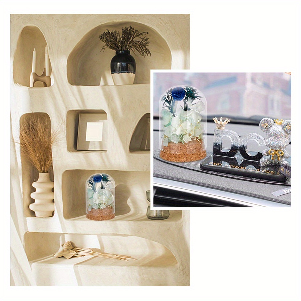 Glass Display Jar Dome Cloche Glass Bell Jar Cork Base Glass - Temu