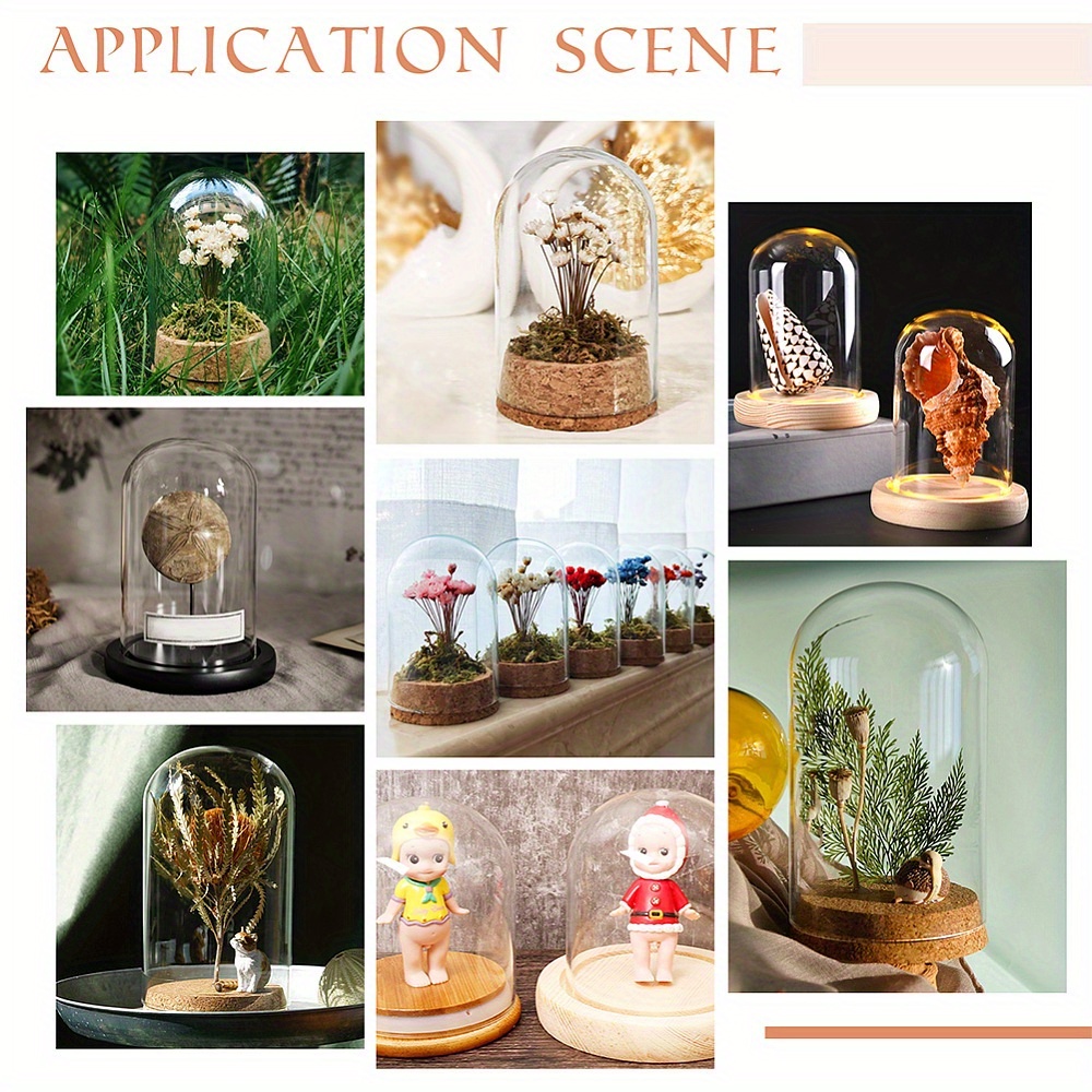 Glass Display Jar Dome Cloche Glass Bell Jar Cork Base Glass - Temu