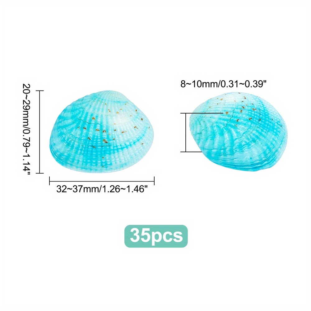 Shell Beads Undrilled Scallop Sea Shells Blue Clam - Temu South Africa