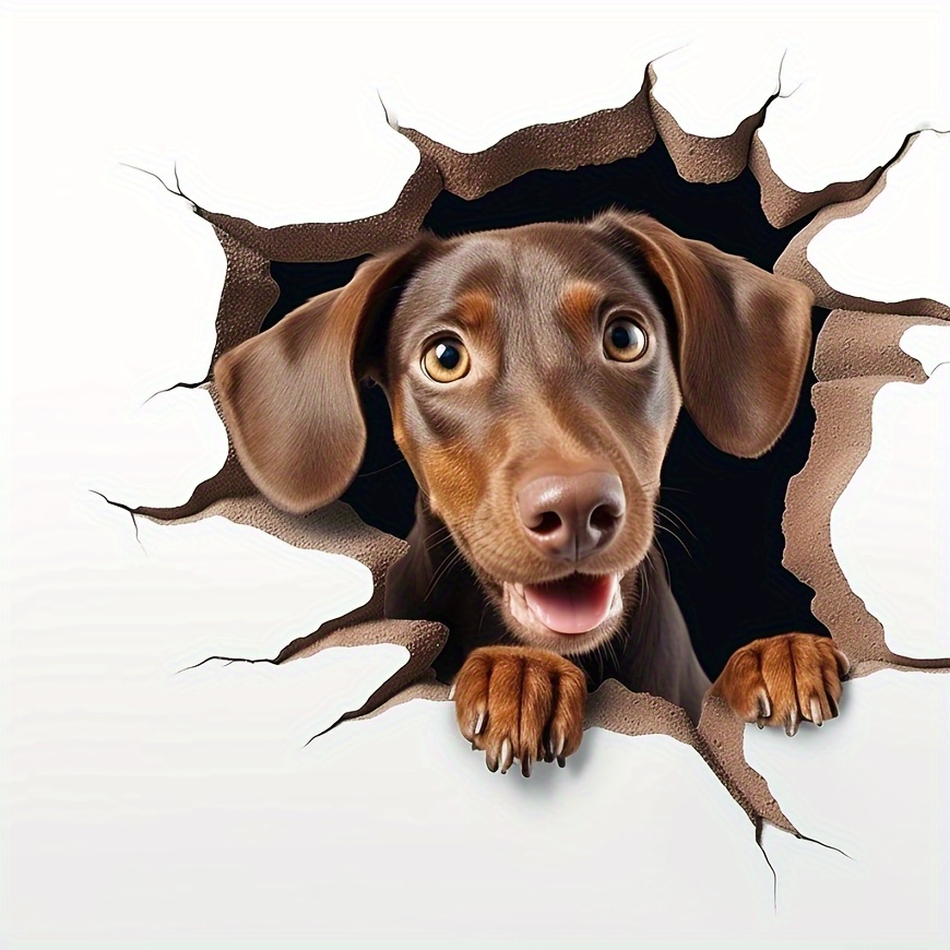 Temu | Explore the Latest Clothing, Beauty, Home, Jewelry & More