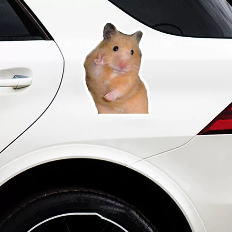peace hamster meme sticker sticker graphic auto wall laptop Temu Germany