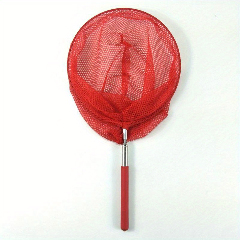 Red De Pesca Telescópica Para Atrapar Insectos, Mariposas Y Otros ...