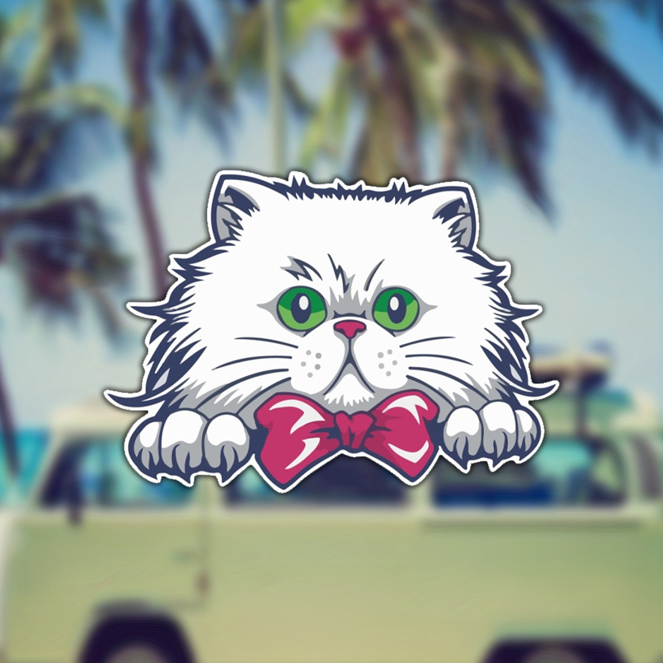 cute white kitten cat car bumper window sticker - Temu United Kingdom