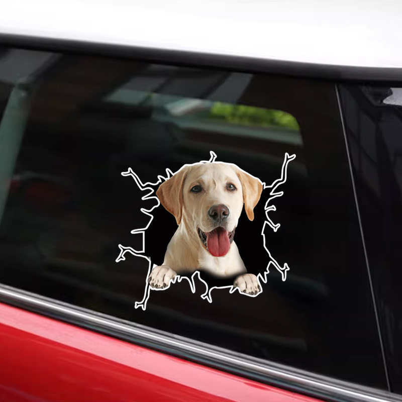 Car Crack Decal Realistic Animal Funny Simulation 3d Husky - Temu United