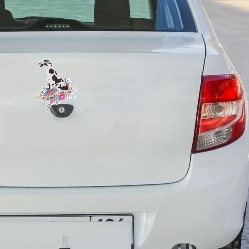 cool car vinyl waterproof sticker decal car laptop wall - Temu Australia