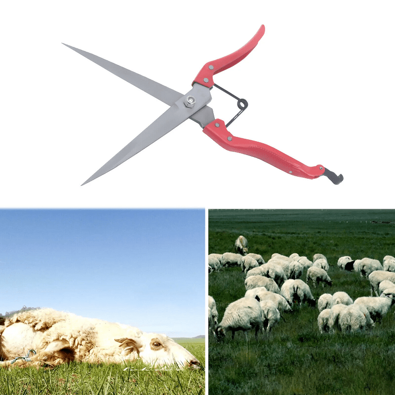 Manual Trimmer Sheep Shears Leather - Temu