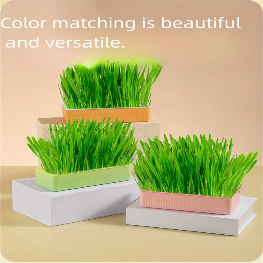 hydroponic cat grass growing kit soil free plastic planter - Temu