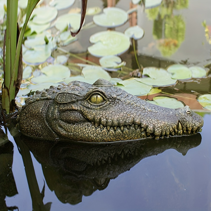 Avant garde Floating Alligator Head Resin Crocodile Garden - Temu