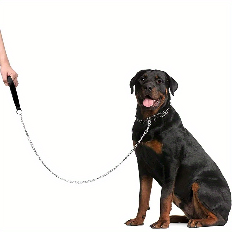Metal chain dog leash store