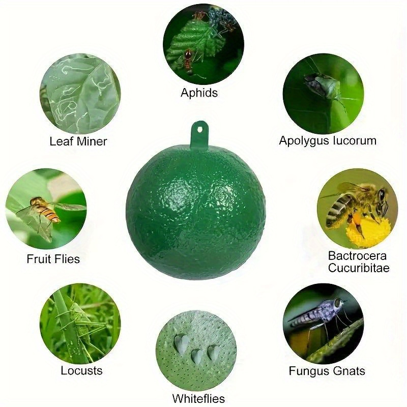 Sticky Fly Trap Balls Durable Weatherproof Ideal - Temu