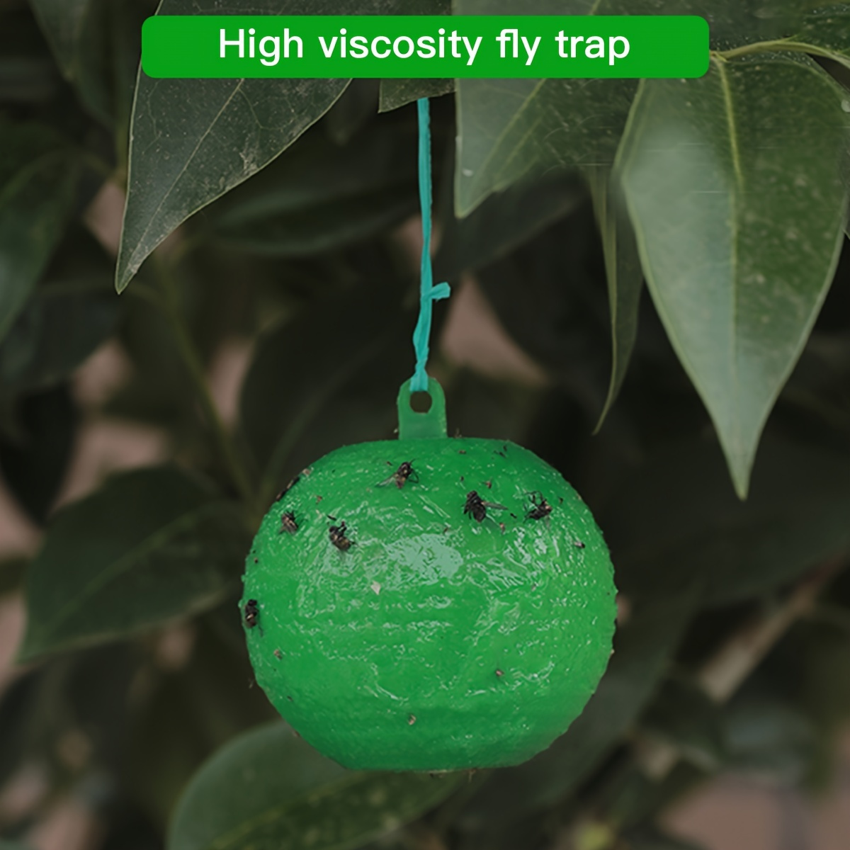 2pcs Fruit Fly Traps Set, Rubber Strong Adhesive Pest Control ...