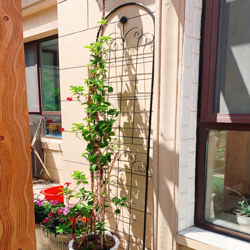 Metal Garden Trellis Climbing Plants Outdoor Plant - Temu
