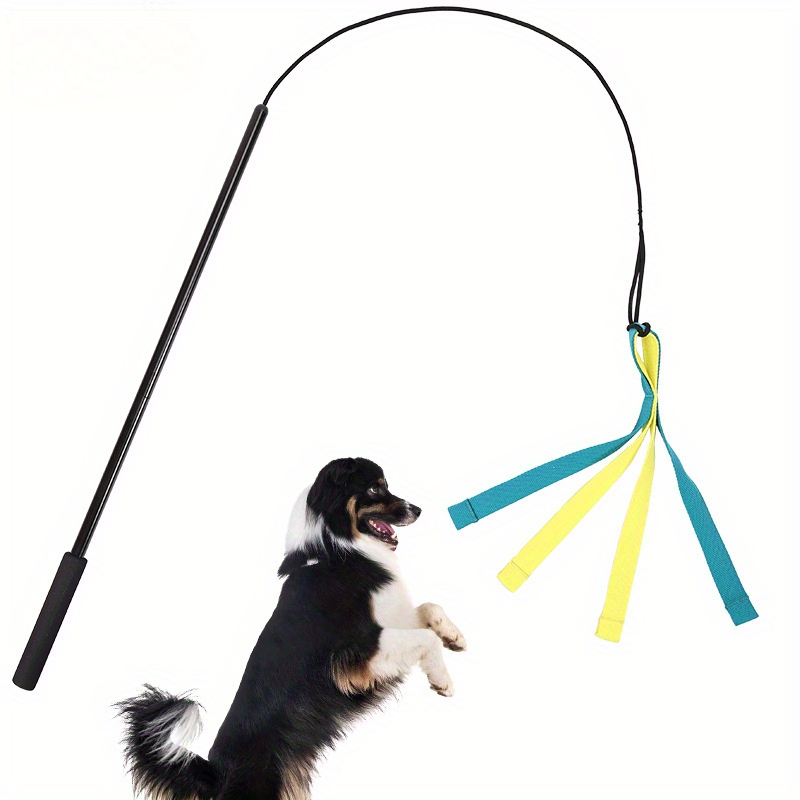 Pet Training Whip Toy Dogs: Outdoor Interactive Dog Toy - Temu