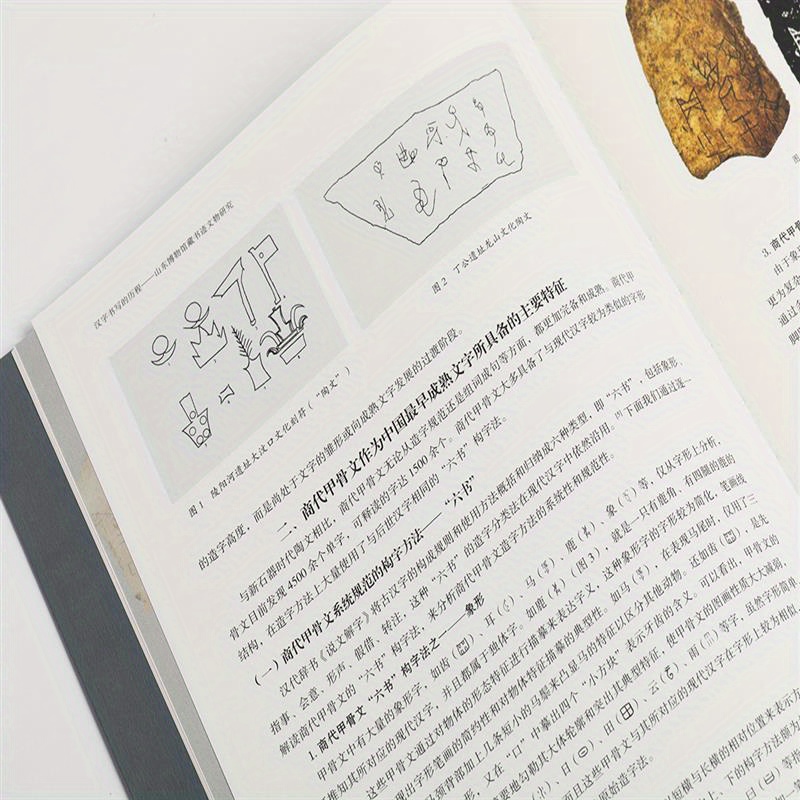 Evolution Chinese Calligraphy Research Museum's - Temu