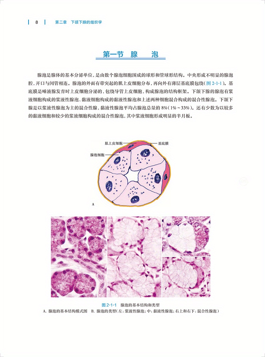 جراحة الغدة تحت الفك: دليل شامل عن التشريح والأمراض وتقنيات - Temu Oman