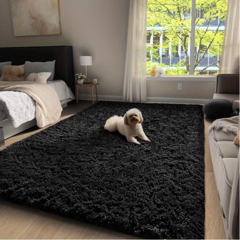 Large Modern Area Rugs for Bedroom Living Room 4x6 Feet Black Rug Thickened Indoor Carpets Minimalist Rug Soft Non Slip and Machine