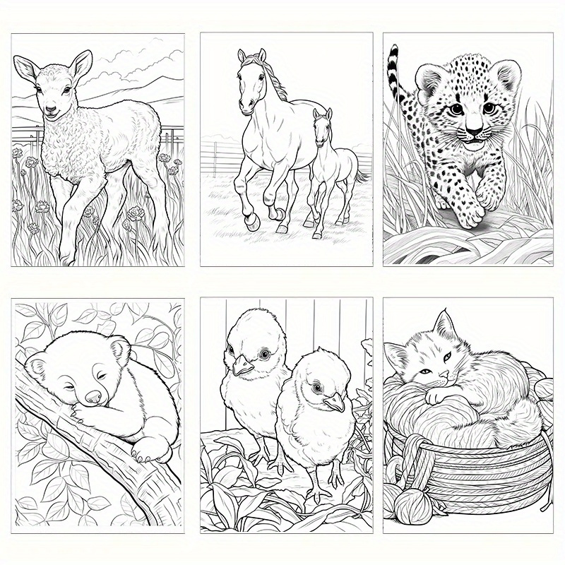 Bojanka Sa Mladuncima Životinja: 40 Figura, Bojanka Za Odrasle Žene ...