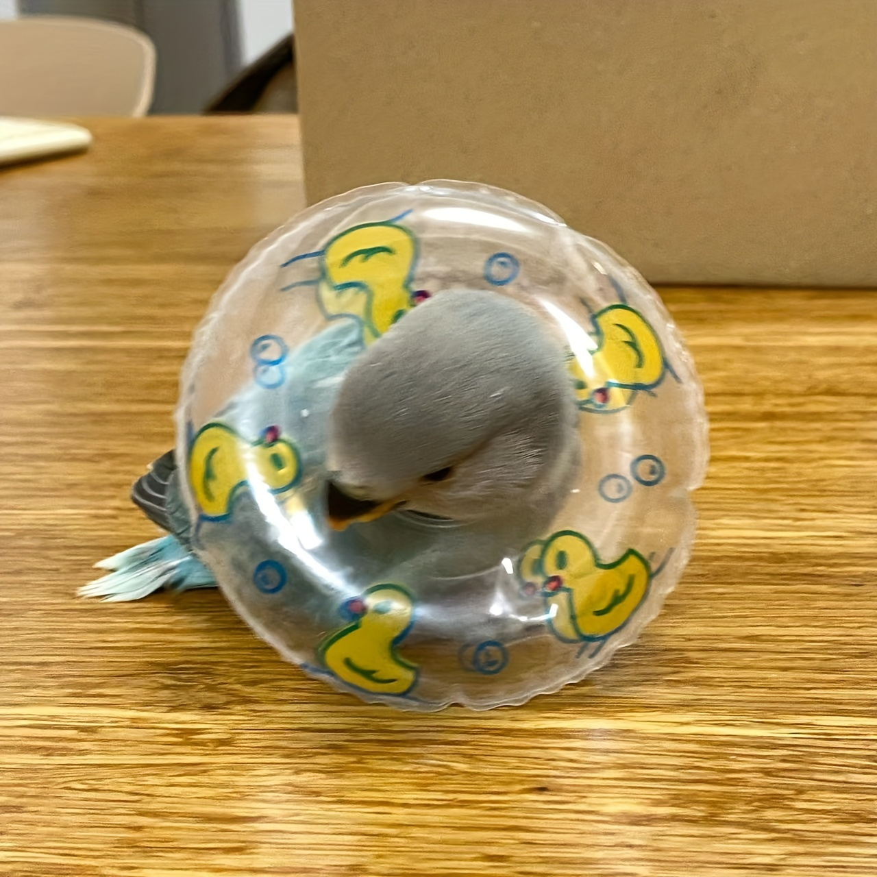 Mini Inflatable Swim Ring Set Small Parrots Cute Duck - Temu