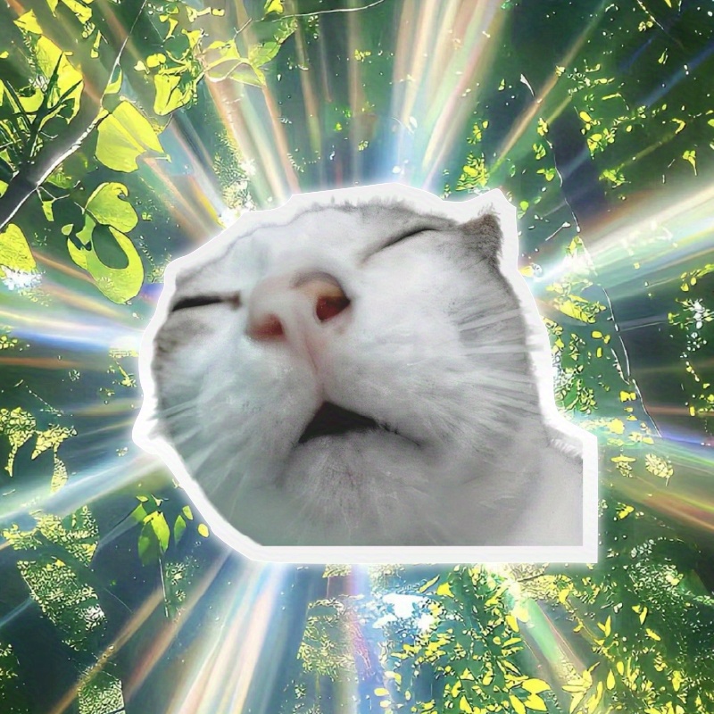 Squinting Cat Gif