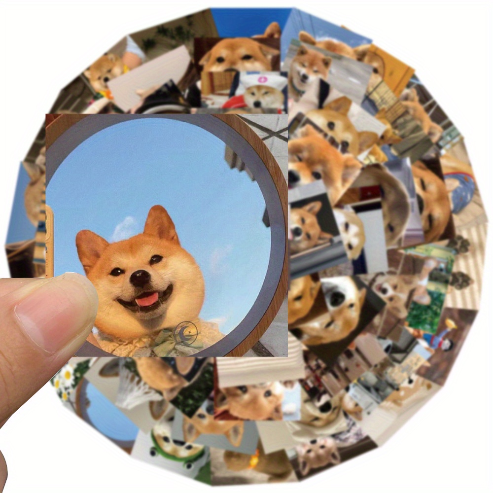 Cute Cartoon Corgi Chai Dog Meme Sticker Pack Reusable Vinyl - Temu