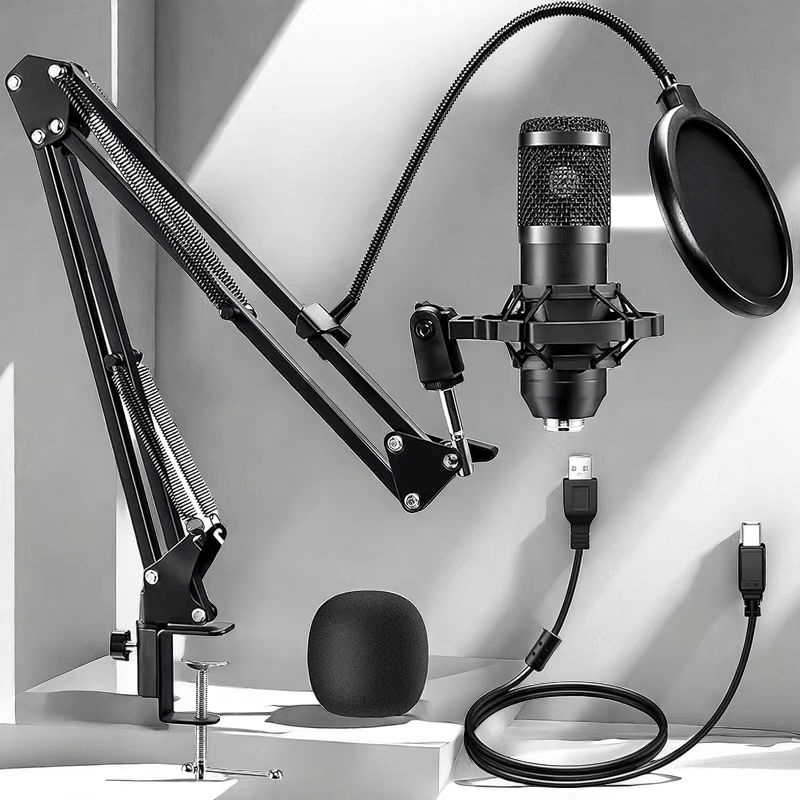 microphones sold on Temu United States