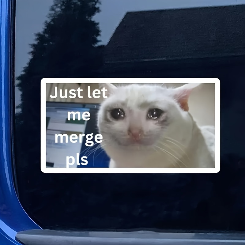 Bitte, Bitte, Katzenmeme