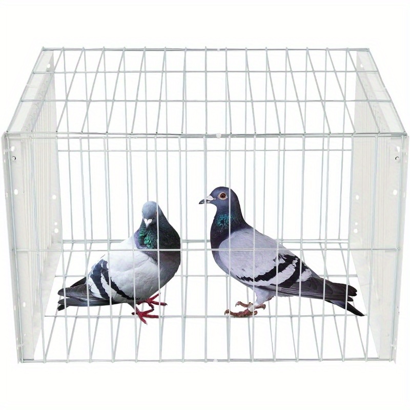 pigeons cage - Pakistan