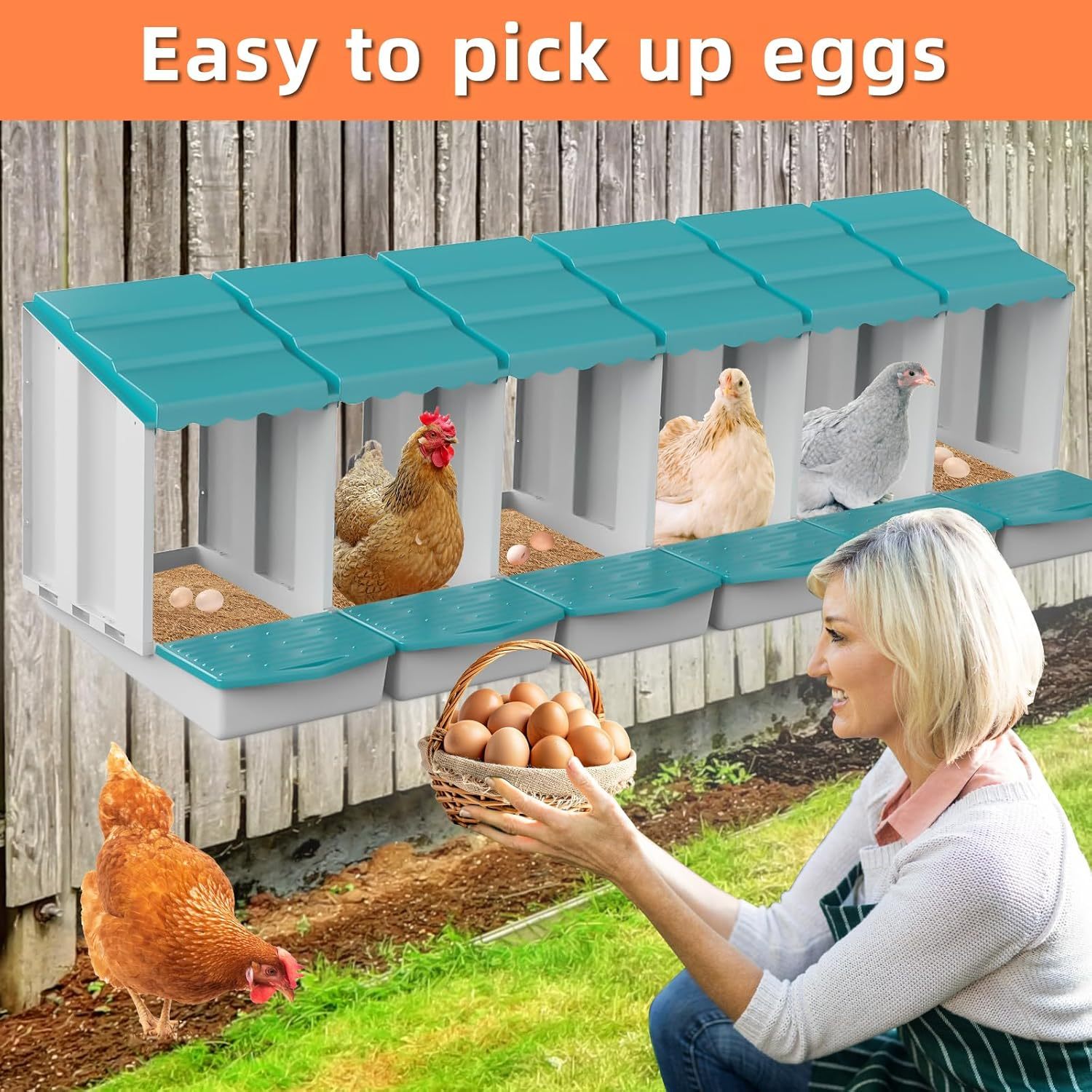 plastic chicken nesting boxes - United Kingdom