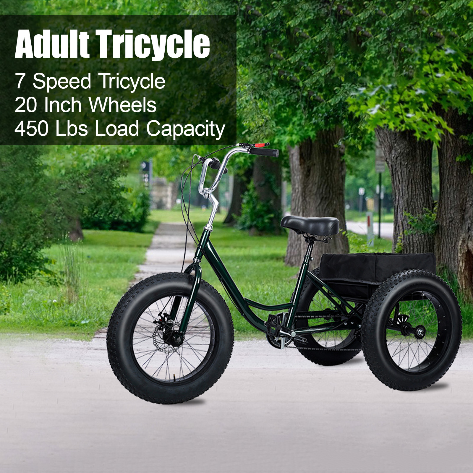 electric adult tricycle sold on Temu United States