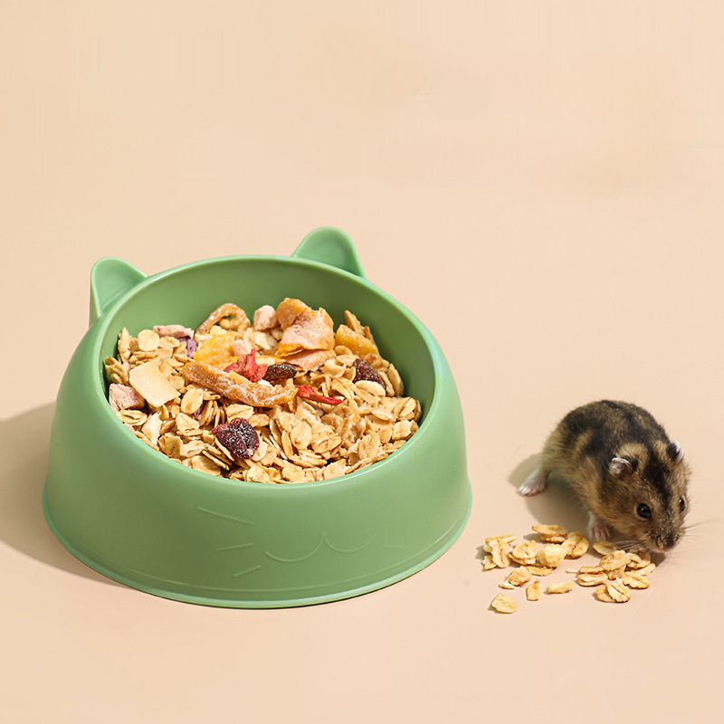 Superbes Maisons Pour Hamsters 5 Pièces Jouets Pour Hamster, Abri