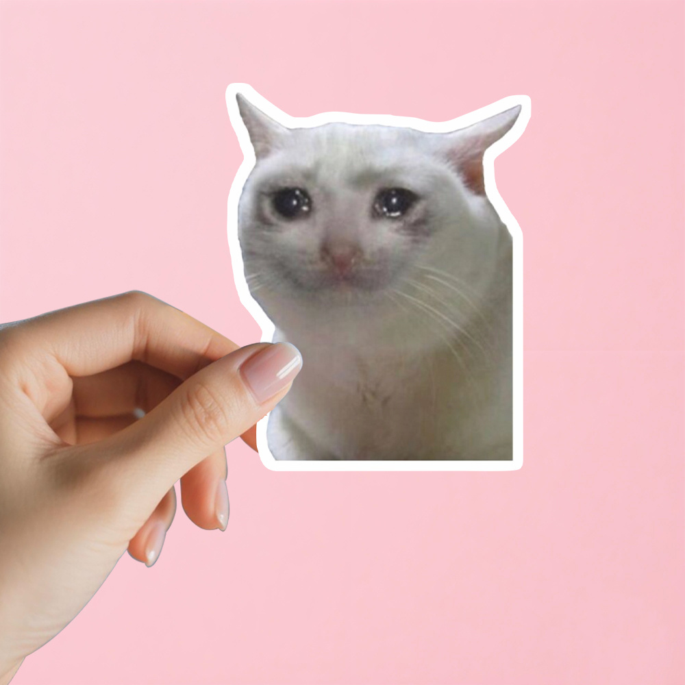 funny meme stickers sold on Temu Australia