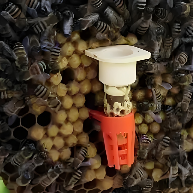 bee keeping - United Kingdom