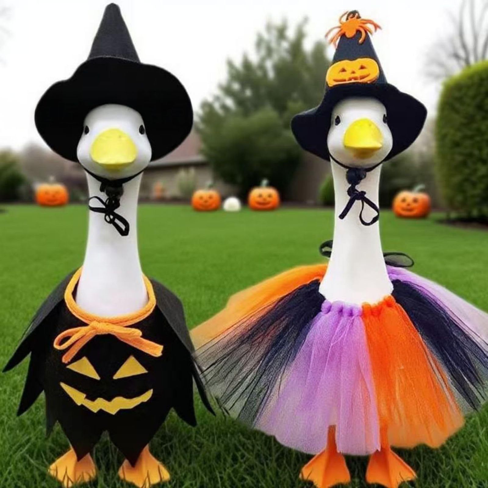 goose outfit sold on Temu United States