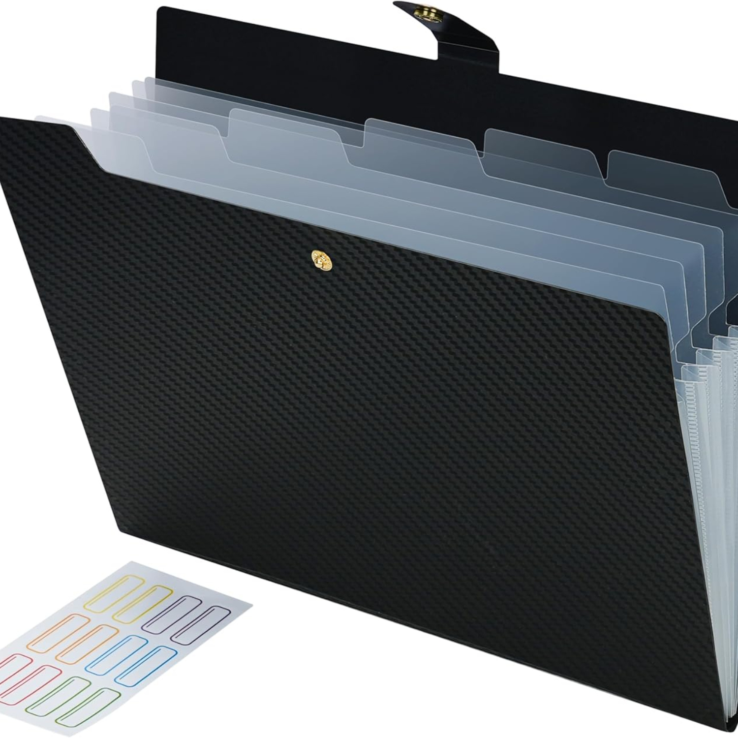 file organiser sold on Temu United States