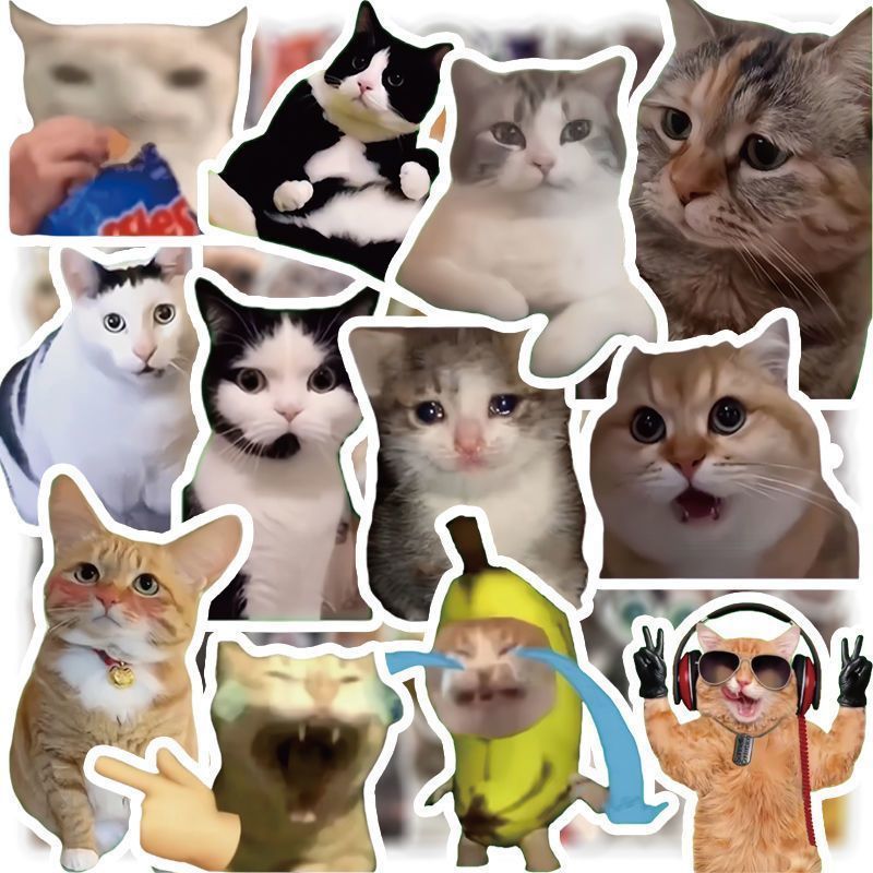 funny cat stickers sold on Temu United States