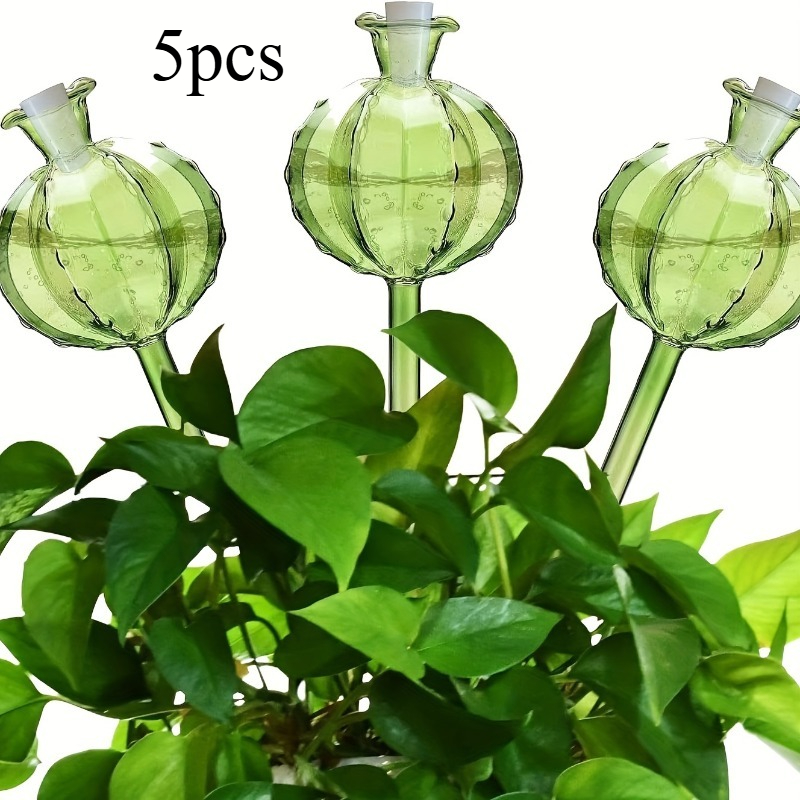 plant watering devices sold on Temu United States