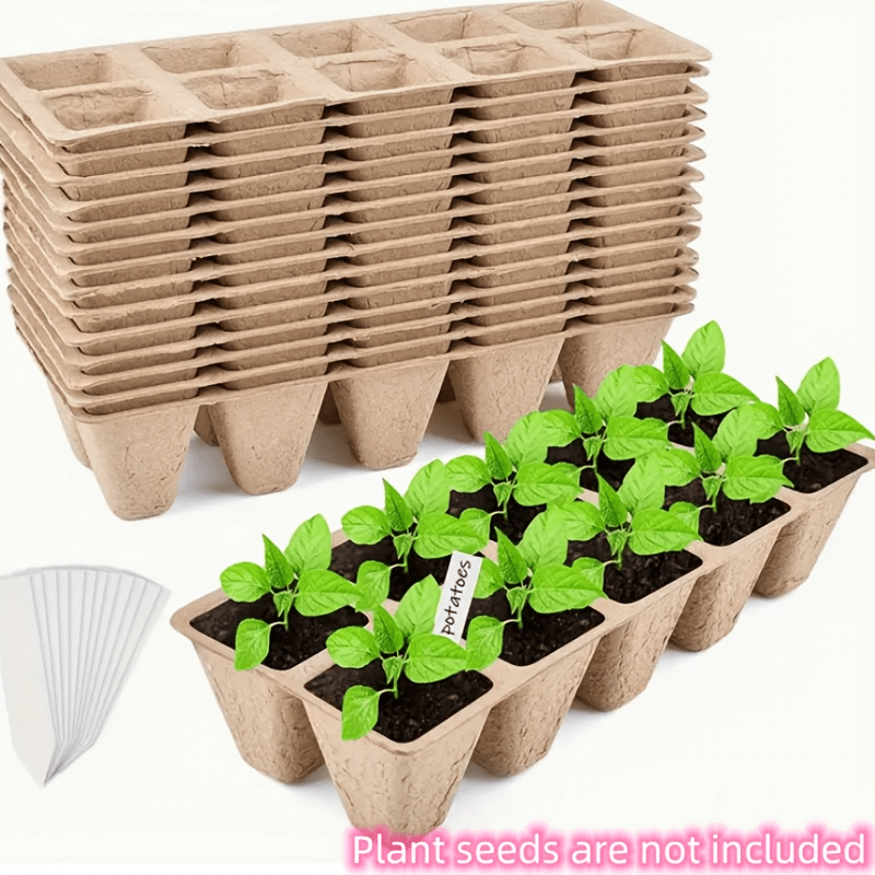 plant kit sold on Temu United States