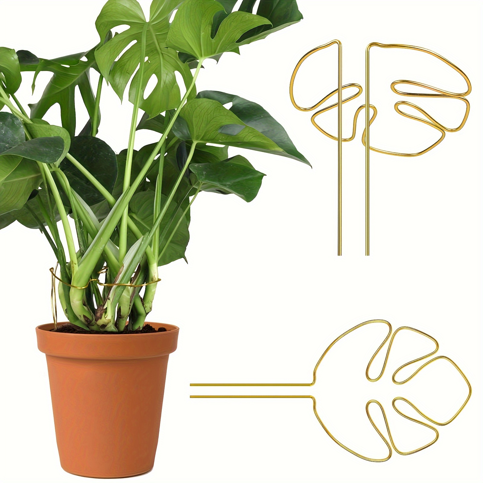 plant support - United Kingdom