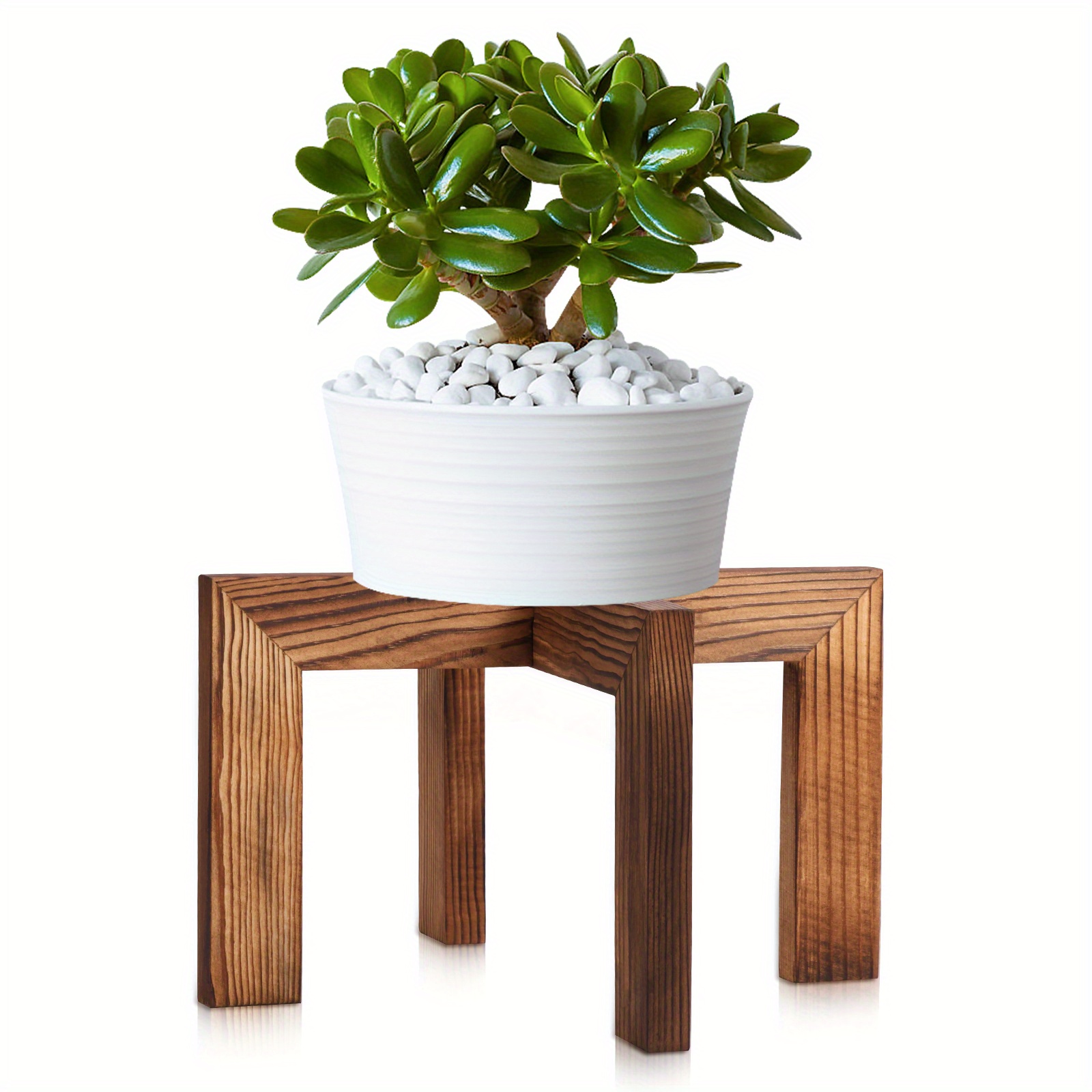 plant stands sold on Temu Philippines
