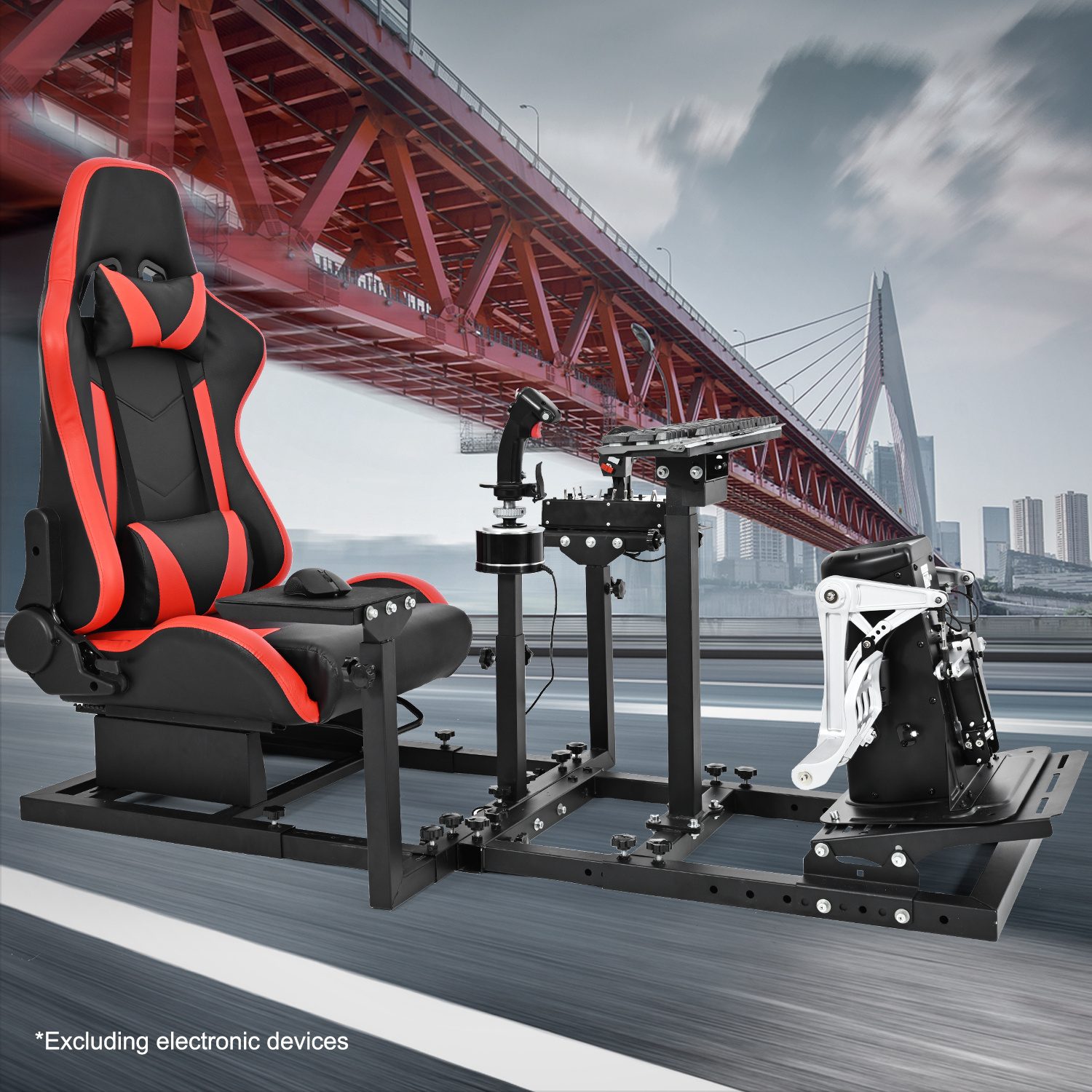 racing sim sold on Temu United States