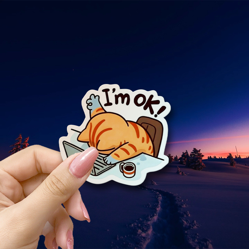 laptop stickers sold on Temu Canada