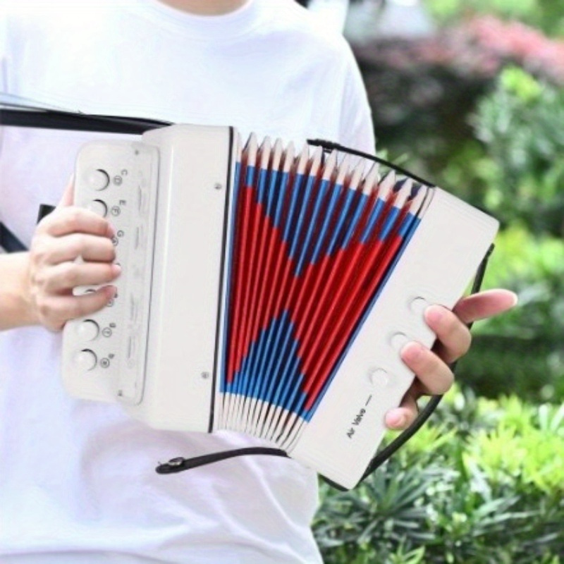 musical instruments accordion sold on Temu United States