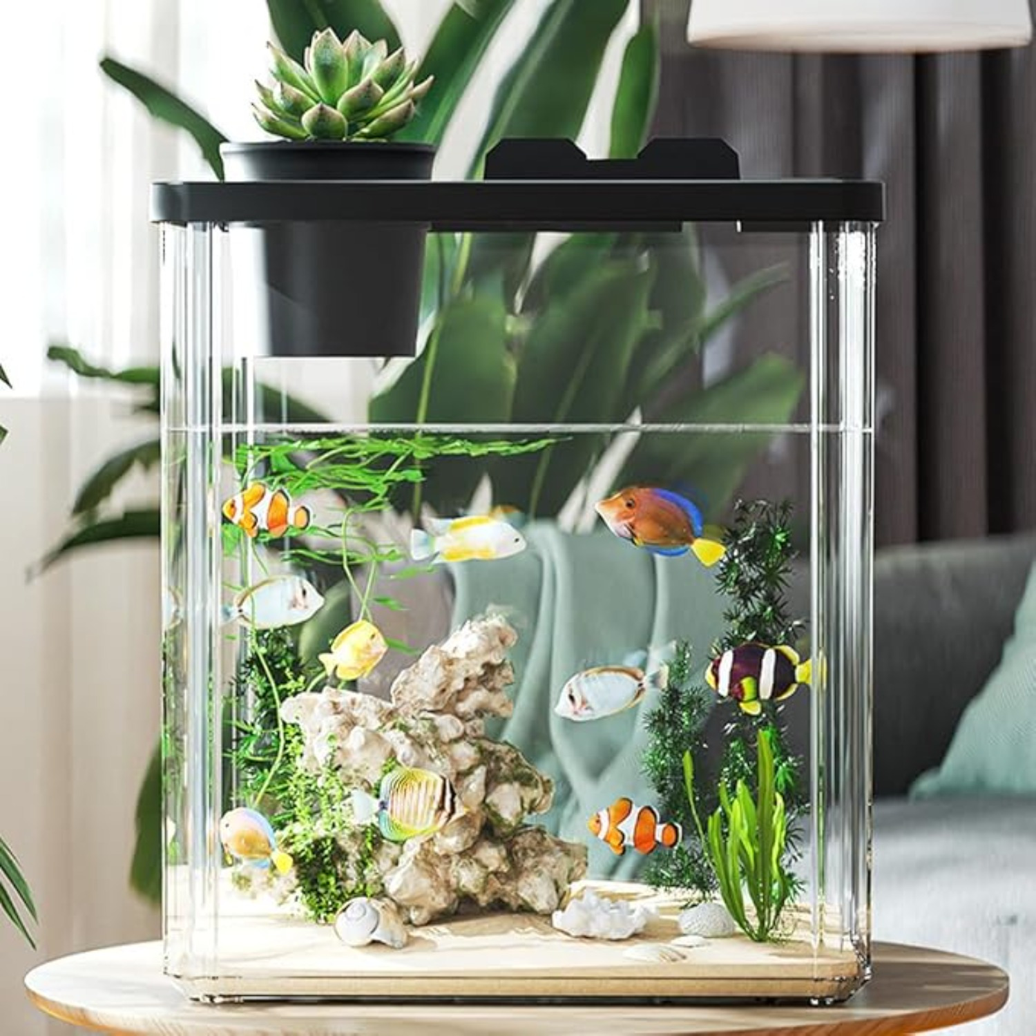 aquarium - United Kingdom