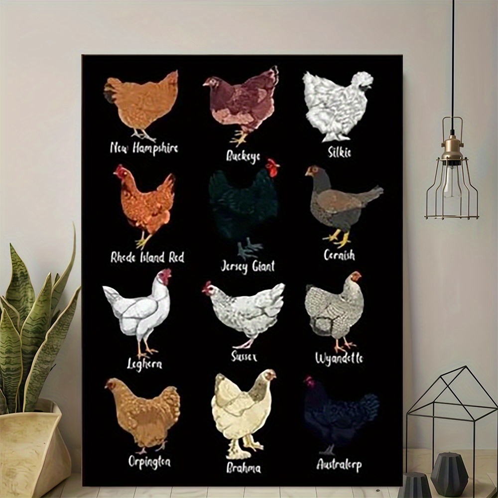 Hens Chicken Breed Identification Chart