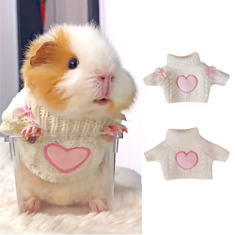 Hamsters En Costumes