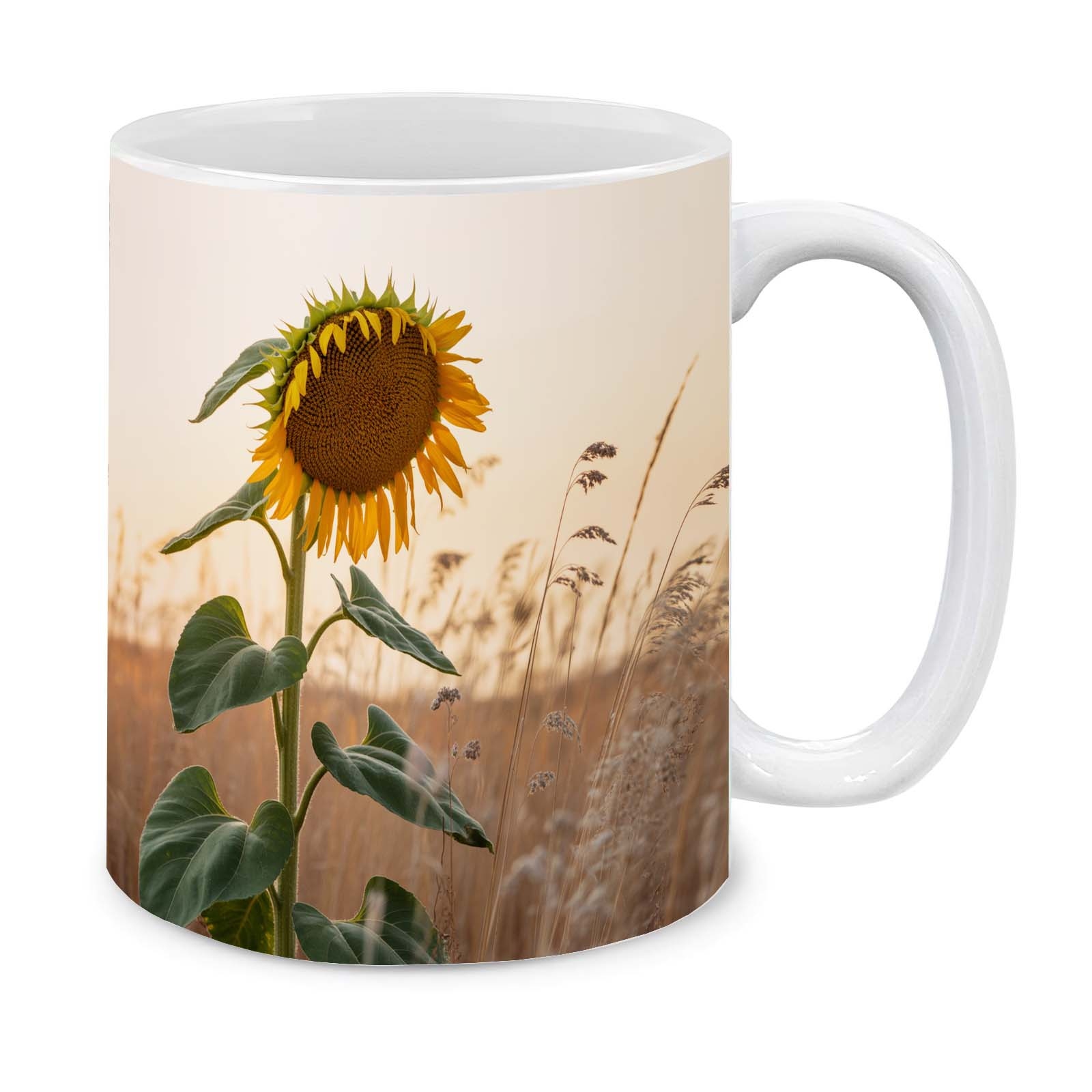 sunflower coffee cups - South Africa