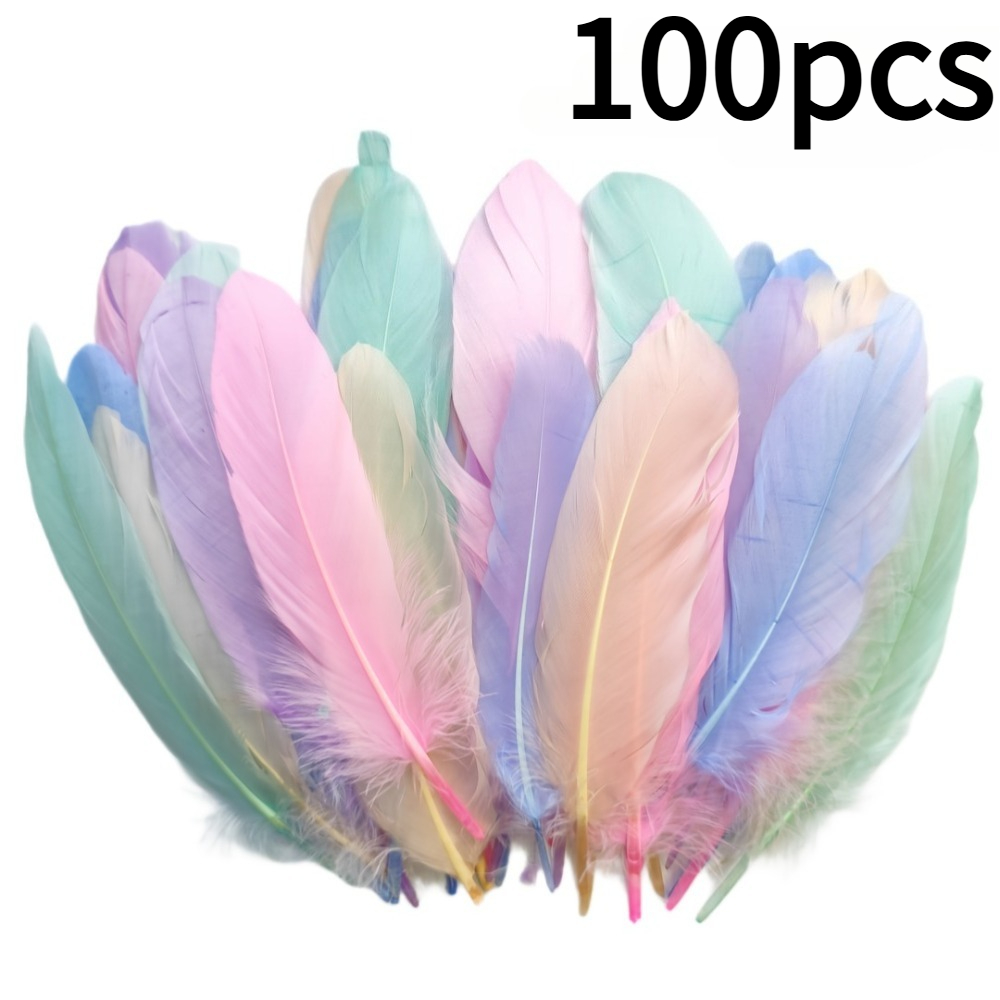 feathers sold on Temu United States