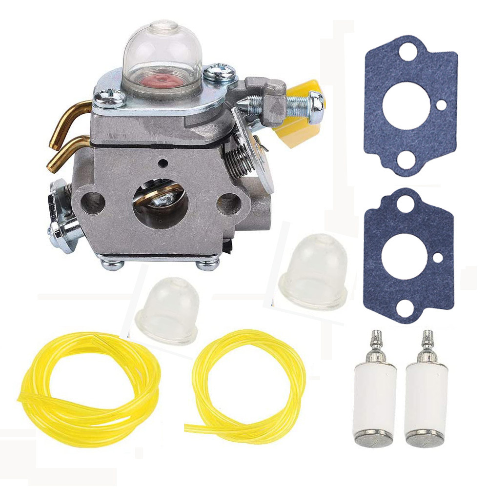 carburetor kit sold on Temu United States