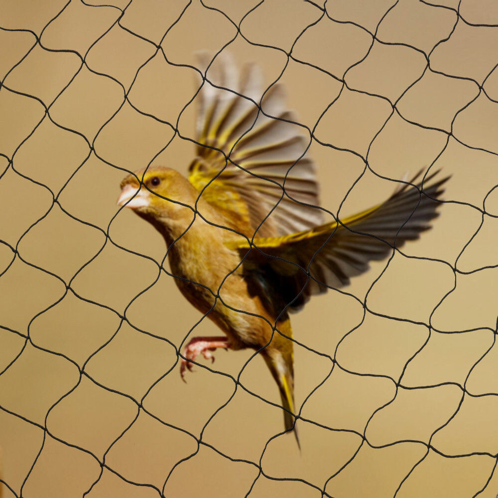 anti bird netting for fruit trees sold on Temu United States